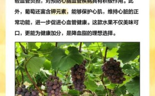 降血脂吃什么水果好_降血脂水果排行榜