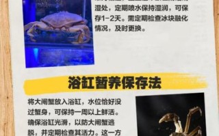 鲜活的大闸蟹怎么保存_大闸蟹能放几天不死