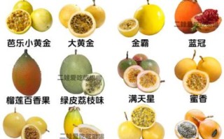 西番莲是不是百香果_区别与营养价值