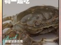 螃蟹不能和什么一起吃_吃了会怎样