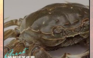 螃蟹不能和什么一起吃_吃了会怎样