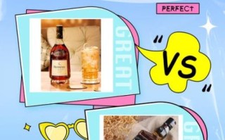 白兰地是什么酒_白兰地和威士忌区别