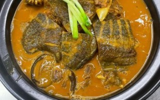 炖甲鱼汤最简单的做法_甲鱼汤怎么炖不腥