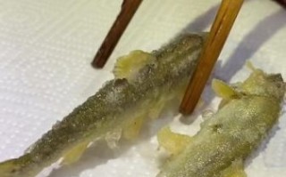 香鱼的故乡在哪里_香鱼为什么叫清流女王