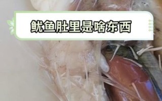 鱿鱼仔肚子里是什么_鱿鱼仔肚子里的东西能吃吗