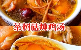茶树菇煲汤有什么功效_茶树菇和什么搭配煲汤最好