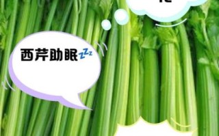 西芹降血压吗_西芹怎么吃最减肥
