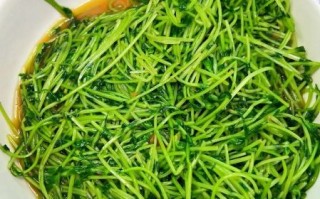 凉拌豌豆苗怎么做_豌豆苗焯水几分钟