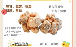 田七粉的正确吃法_田七粉的功效与作用