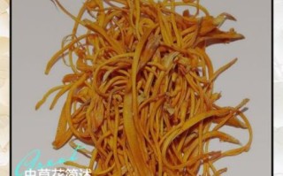 虫草花有什么副作用_虫草花禁忌人群