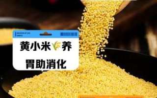 小米有什么营养价值_小米的功效与作用