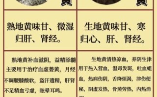 生地的功效与作用_生地和熟地的区别