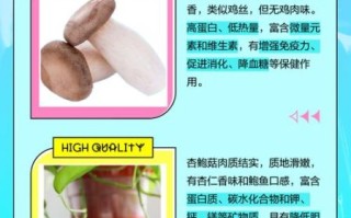 鸡腿菇和杏鲍菇的区别_哪个更好吃