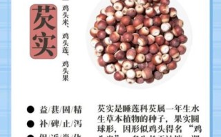 芡实和什么搭配最好_芡实最佳配伍有哪些