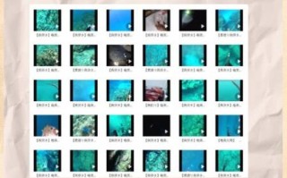 鱼鱼视频怎么下载_鱼鱼视频安全吗