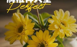 乌龙茶哪个牌子好喝_十大乌龙茶品牌排行榜