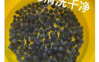 瓶装蓝莓酱怎么稀释_蓝莓酱太稠怎么办
