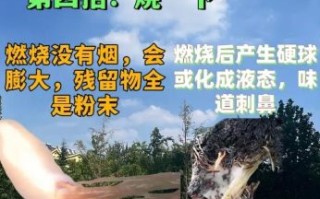 地瓜粉是红薯粉吗_两者区别与用途全解析