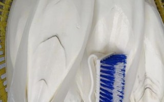 墨鱼中间白色骨怎么吃_墨鱼骨有什么营养价值