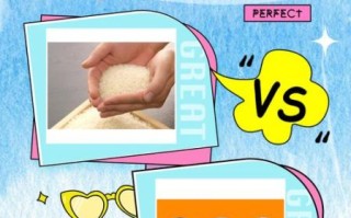 煮饭用粳米还是籼米_哪种米更香更好吃