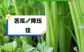 降血压的蔬菜有哪些_降血压的水果有哪些