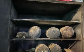 洪七公叫花鸡是哪里的特产_正宗做法