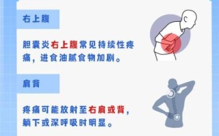 胆囊炎疼痛位置图_胆囊炎疼痛在哪个部位