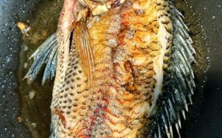 清蒸罗非鱼怎么做_清蒸罗非鱼蒸几分钟才嫩