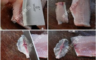 新手如何片鱼片_片鱼片用什么刀