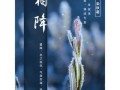 霜降的唯美句子有哪些_霜降节气如何描写