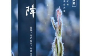 霜降的唯美句子有哪些_霜降节气如何描写