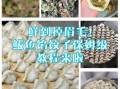 鲅鱼饺子不放肉怎么做_纯素馅料调法