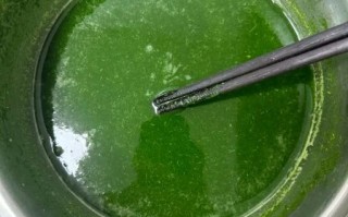 菠菜面怎么做_菠菜面需要焯水吗