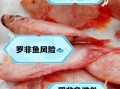 罗非鱼为什么不能吃_吃罗非鱼有什么危害
