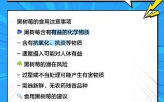 黑树莓哪些人不能吃_黑树莓的禁忌有哪些