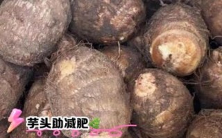 芋头热量高吗_减肥能吃芋头吗