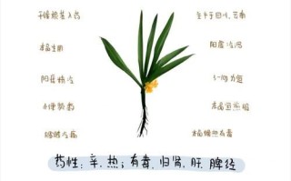 壮阳中药秘方_多久见效