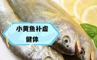经常吃小黄鱼的好处_小黄鱼的营养价值