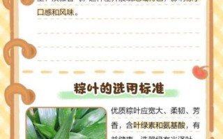 南方粽子叶是什么植物的叶子_箬叶和芭蕉叶区别