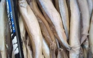 多春鱼公母都有籽吗_如何区分公母