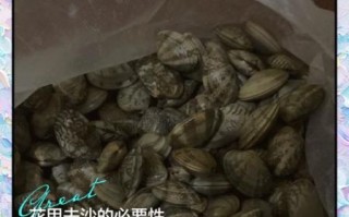 花甲肉怎么清洗_花甲肉去沙最快方法