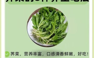 荠菜怎么种_荠菜种植时间和方法
