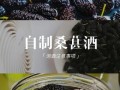 桑葚酒怎么酿_桑葚酒家庭酿制方法