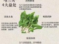 马兰头孕妇能吃吗_孕妇吃马兰头注意事项