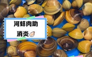 野生小河蚌能吃吗_野生小河蚌怎么处理
