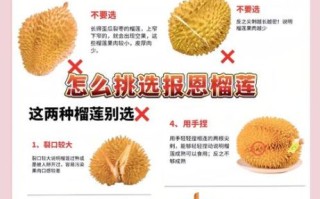 榴莲app最新下载免费_如何安全安装不踩坑