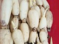 莲藕图片大全_如何挑选新鲜莲藕