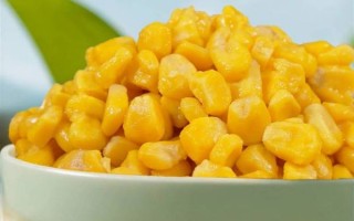 玉米粒图片怎么拍好看_玉米粒高清图片素材哪里找