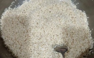 粽子配料有哪些_传统粽子用什么材料