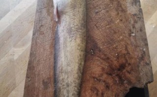 鲶鱼炖茄子怎么做_鲶鱼炖茄子用不用焯水